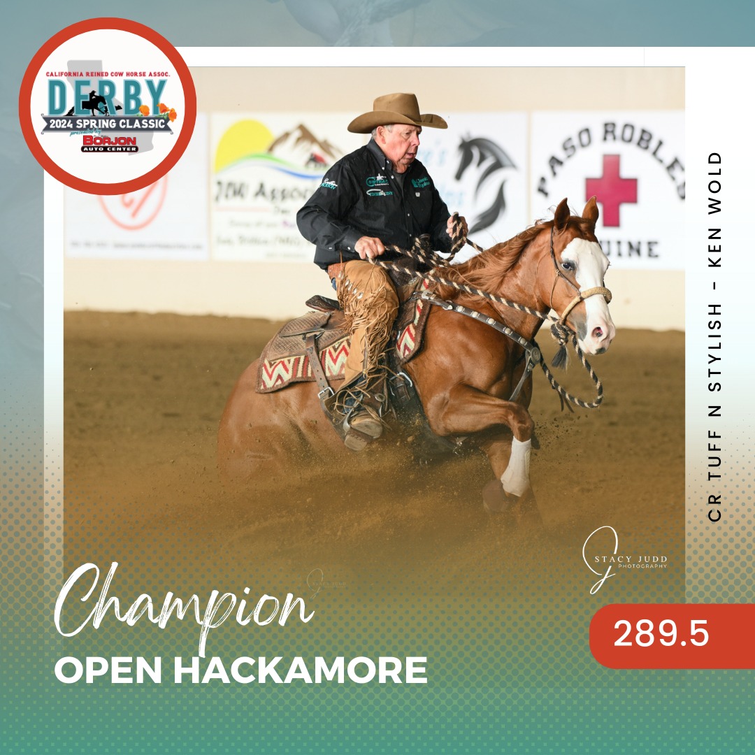 2024 Cow Horse Titles | Ken Wold Training Stables